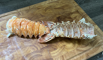 Picard Queue De Langoustenull