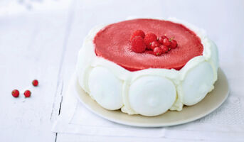 Vacherin vanille-framboise surgelés Picard