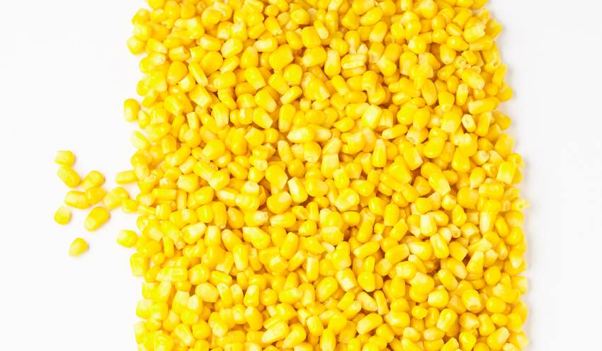 Maïs doux en grains bio local surgelés - Les légumes - Picard